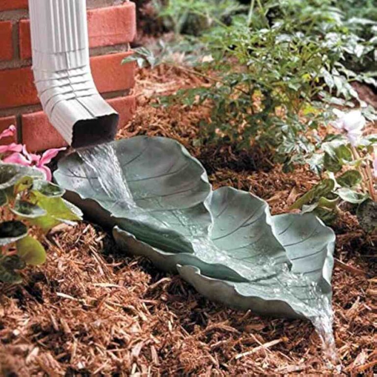 10 Rain Chain Drainage Ideas - Aesthetic and Inexpensive - Home Briefings
