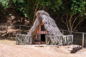 15 Outstanding Homemade Outdoor Dog Kennel Ideas