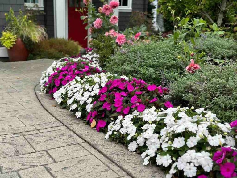 8 Low Maintenance Plant Garden Border Ideas - Home Briefings