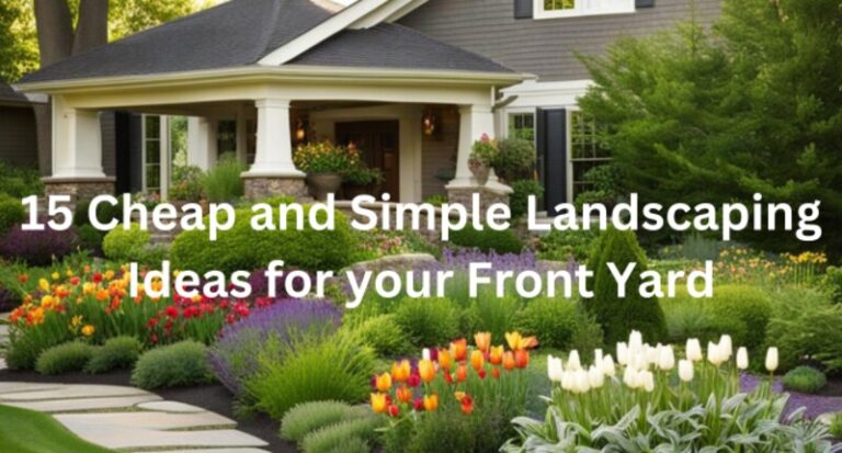 15 Cheap Simple Landscaping Ideas for Front Yard - Home Briefings