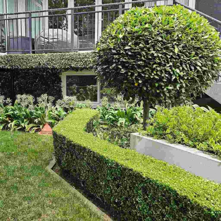 Top 9 Property line landscaping Ideas for your House - Home Briefings