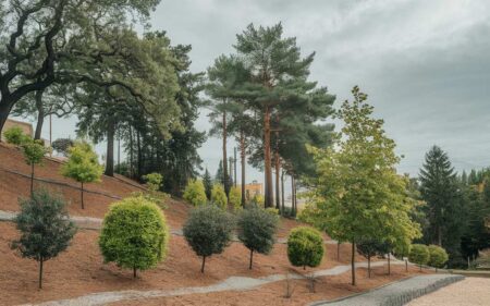 10 Budget-Friendly Hillside Landscaping Ideas That Transform Slopes ...
