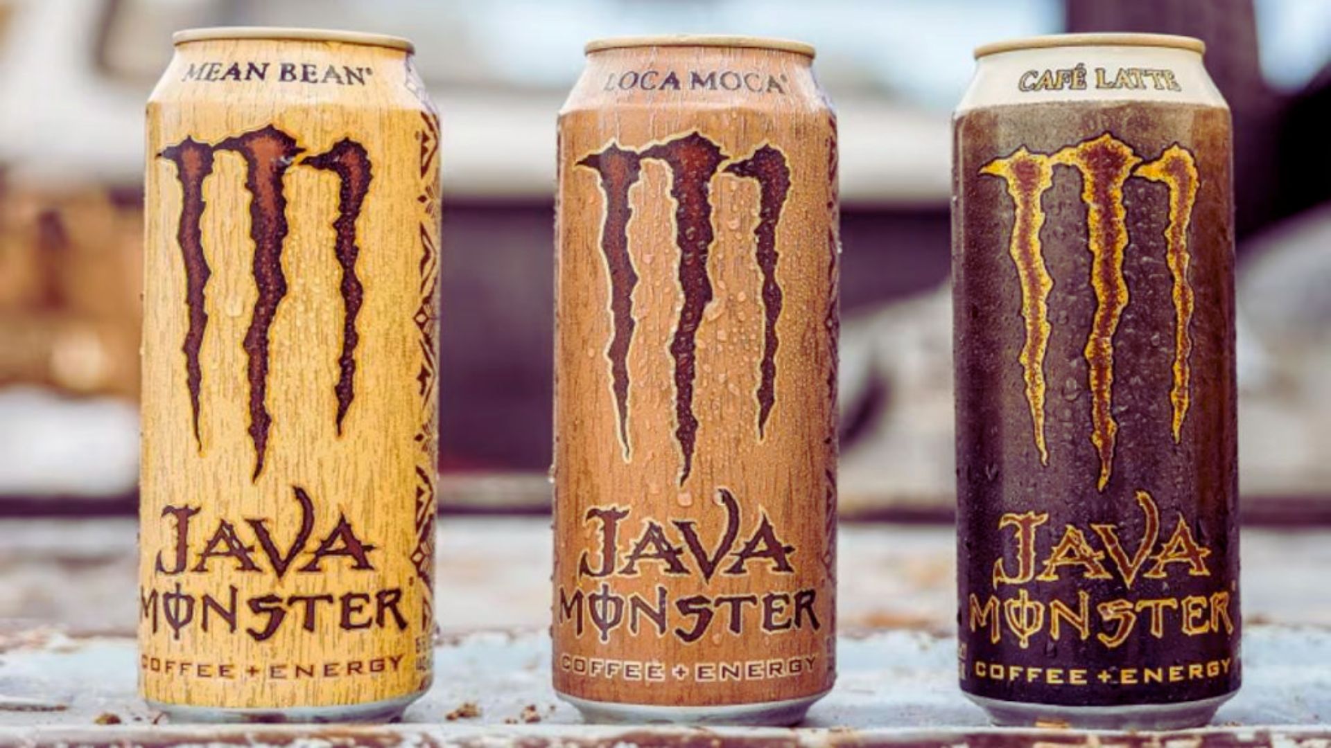 Monster Can Dimensions: Size, Height & Variants Guide - Home Briefings